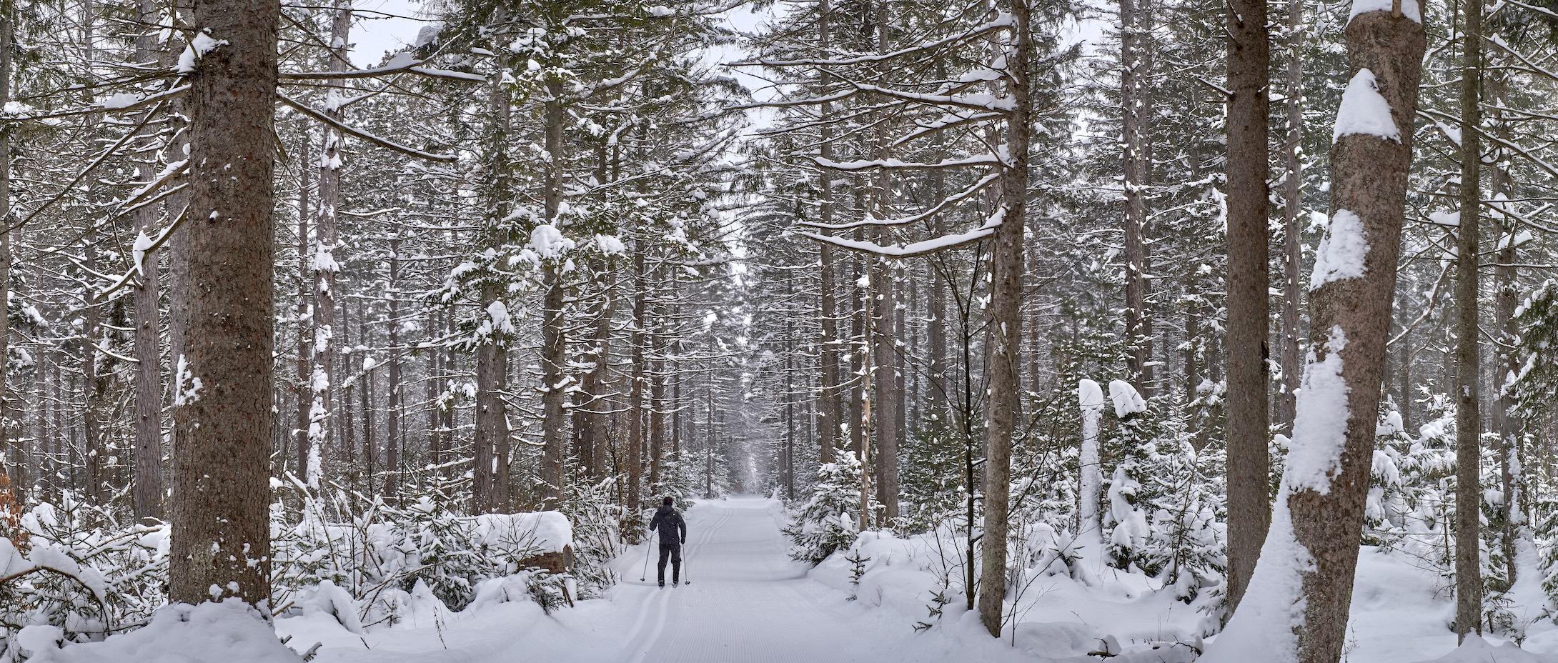 Rikert Nordic Center | Indy Pass