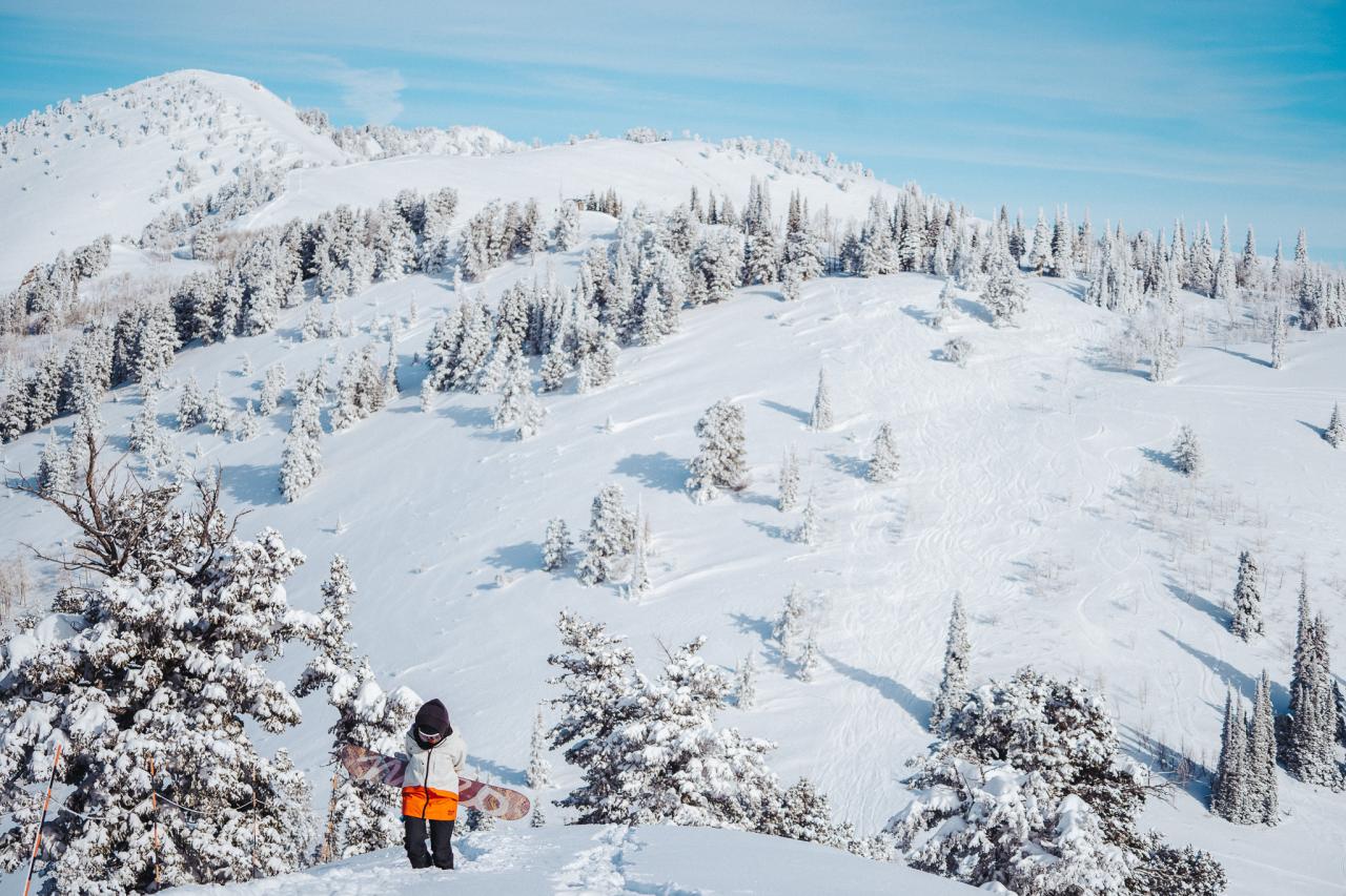 Indy+ Pass | Indy Pass