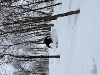 Whaleback Mountain | Indy Pass